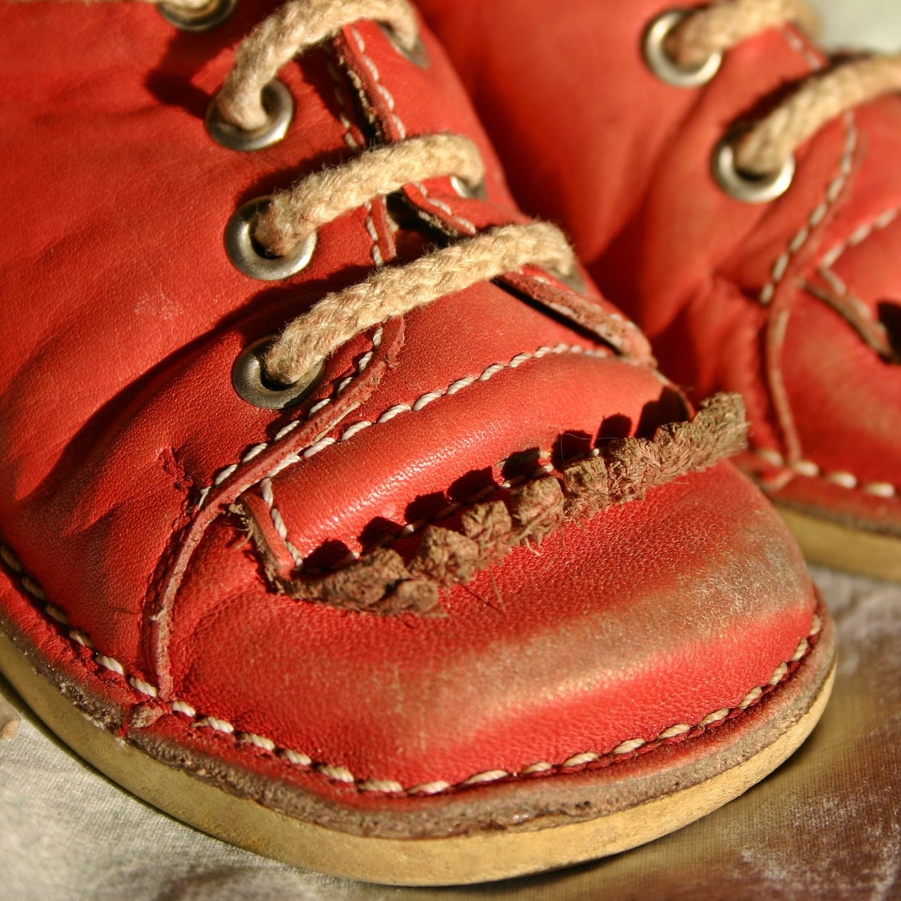 Welcome to the Royal Literary Fund - The Royal Literary Fund