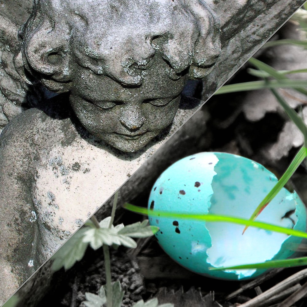 Jane Draycott & Carole Angier - Royal Literary Fund