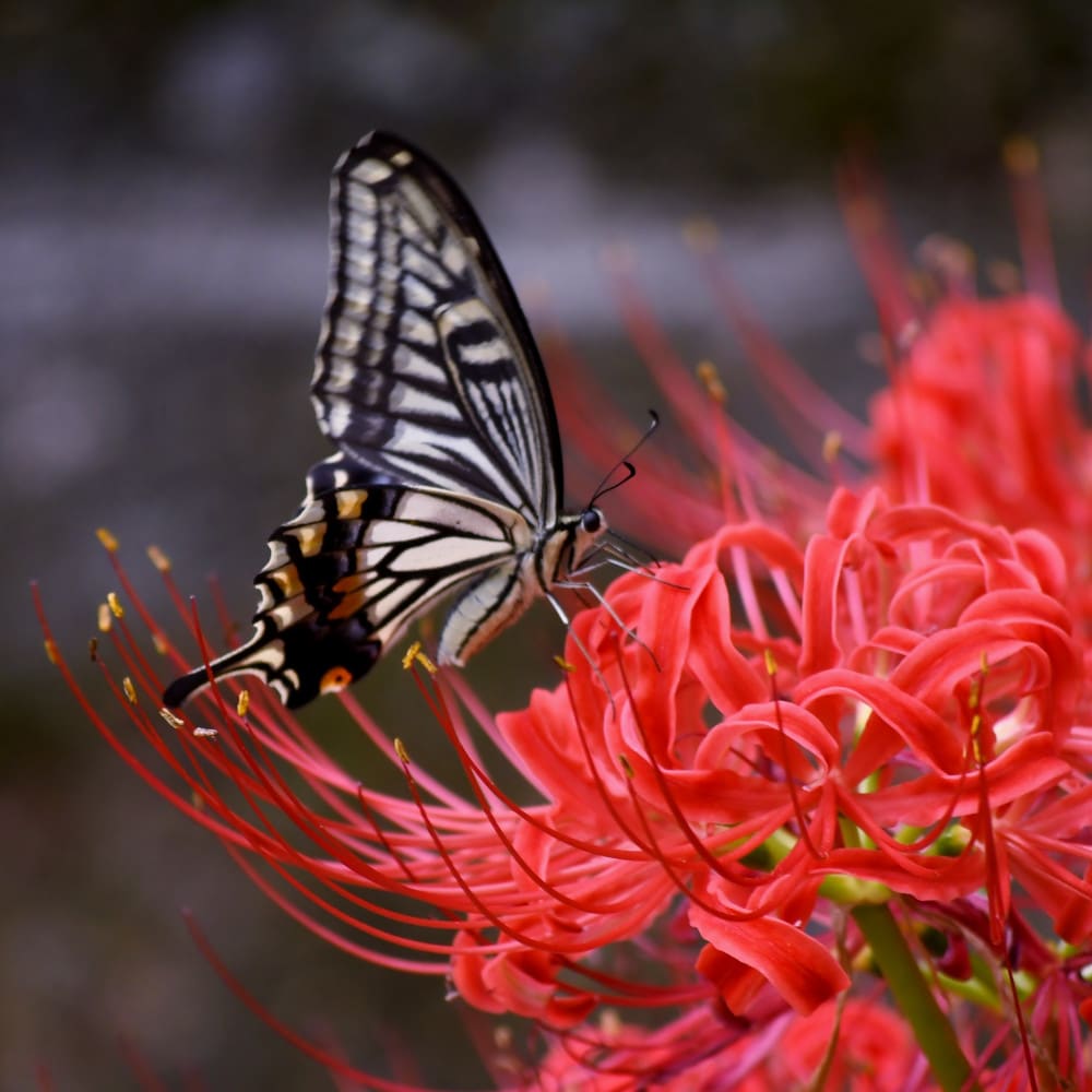 How I Write, part 5 - Royal Literary Fund